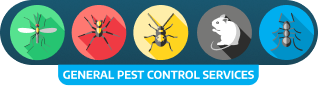 Lankem – Pest Control – Pioneering provider of safe and effective pest ...