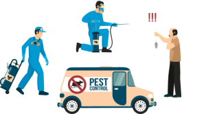 Lankem – Pest Control – Pioneering provider of safe and effective pest ...